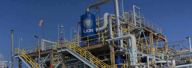 Brutal weather disrupts Lion Elastomers operations in Texas | Rubber News